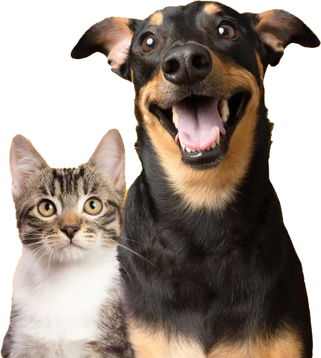 Adoption Locations - HALO Rescue